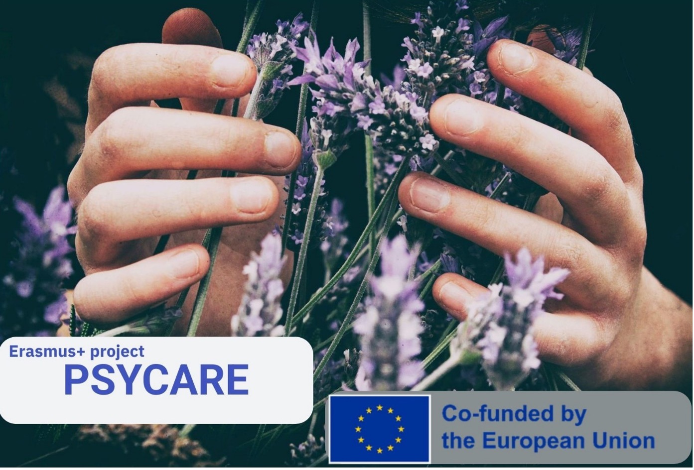 Empowering hair and beauty students in initial VET to tackle mental ...